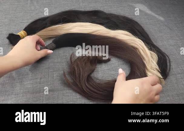 Close-up video of female hands displaying three sections of human hair ...