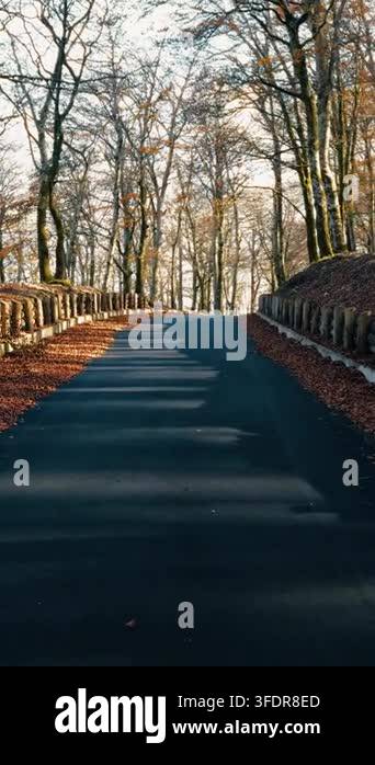 Mountain Road Leading to the Pass in Autumn with Orange Leaves on the ...