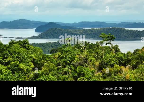 Aerial drone of islands in a bay with tropical vegetation and jungle ...