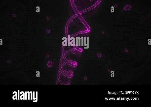 DNA helix rotates dynamically in vibrant pink neon glow against a dark ...
