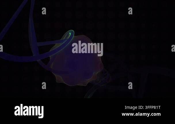 dna helix rotating with colorful glowing cell on dark background ...