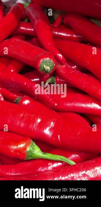 Bright red chili peppers arranged in cardboard boxes create a colorful ...