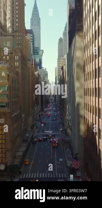 Vertical video: Fly above wide long and straight avenue. Large high ...
