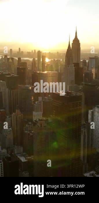 Vertical video: Cityscape in sunset time. Various high rise buildings ...