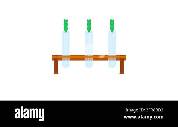 Minimalist Oak Wood Propagation Stand with Growing Pothos Roots and ...