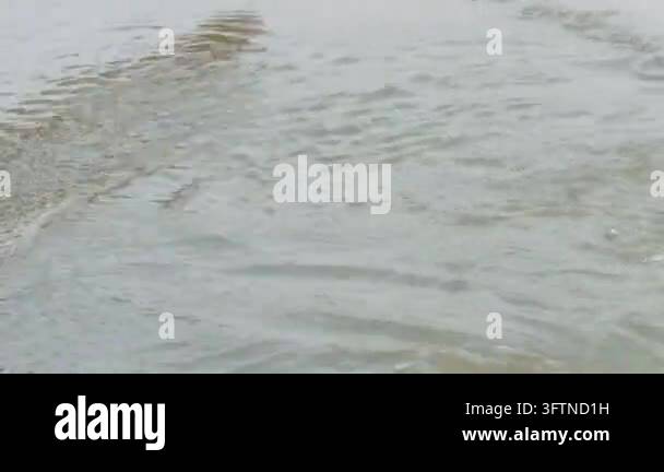 Close-up view of a wooden oar moving through calm water beside a boat ...