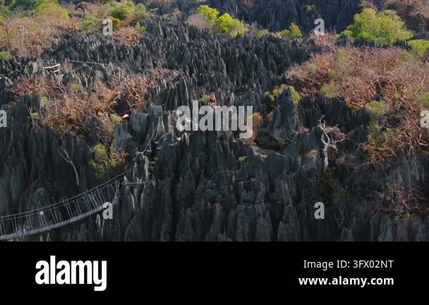 Backpacker girl traverses a bridge over the sharp pinnacles of Tsingy ...
