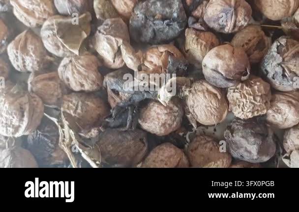 A close-up presents whole walnuts in contrasting forms, with some ...