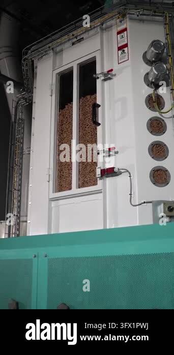 Vertical video. Modern industrial equipment processing biomass wood ...