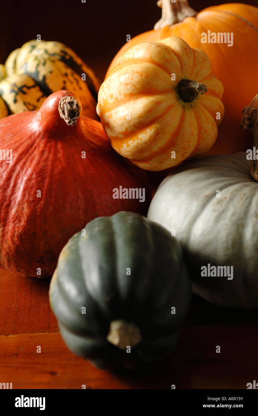 Collection of different squashes on wooden table Stock Photo - Alamy