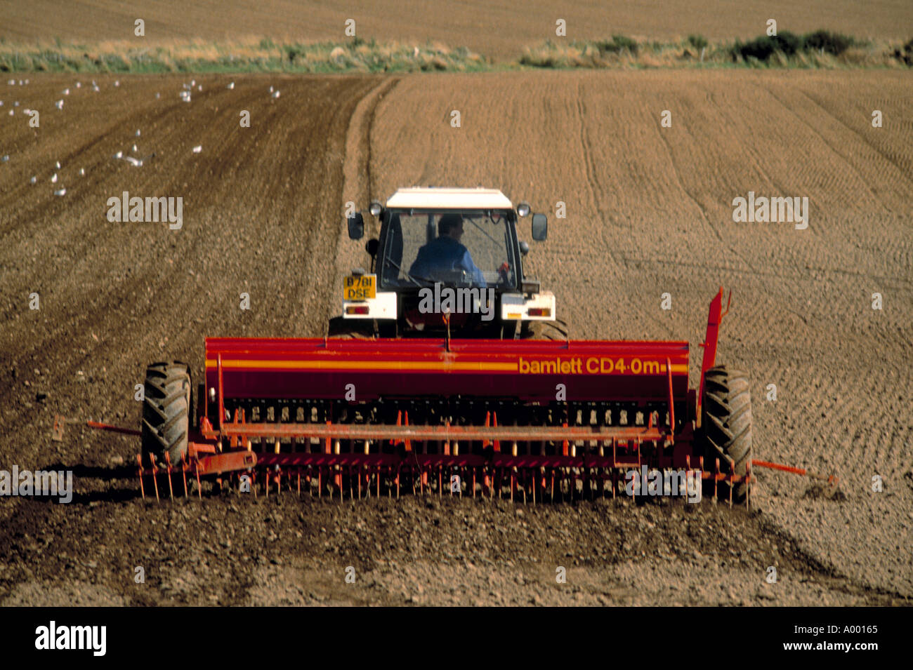 Sewing seed hi-res stock photography and images - Alamy