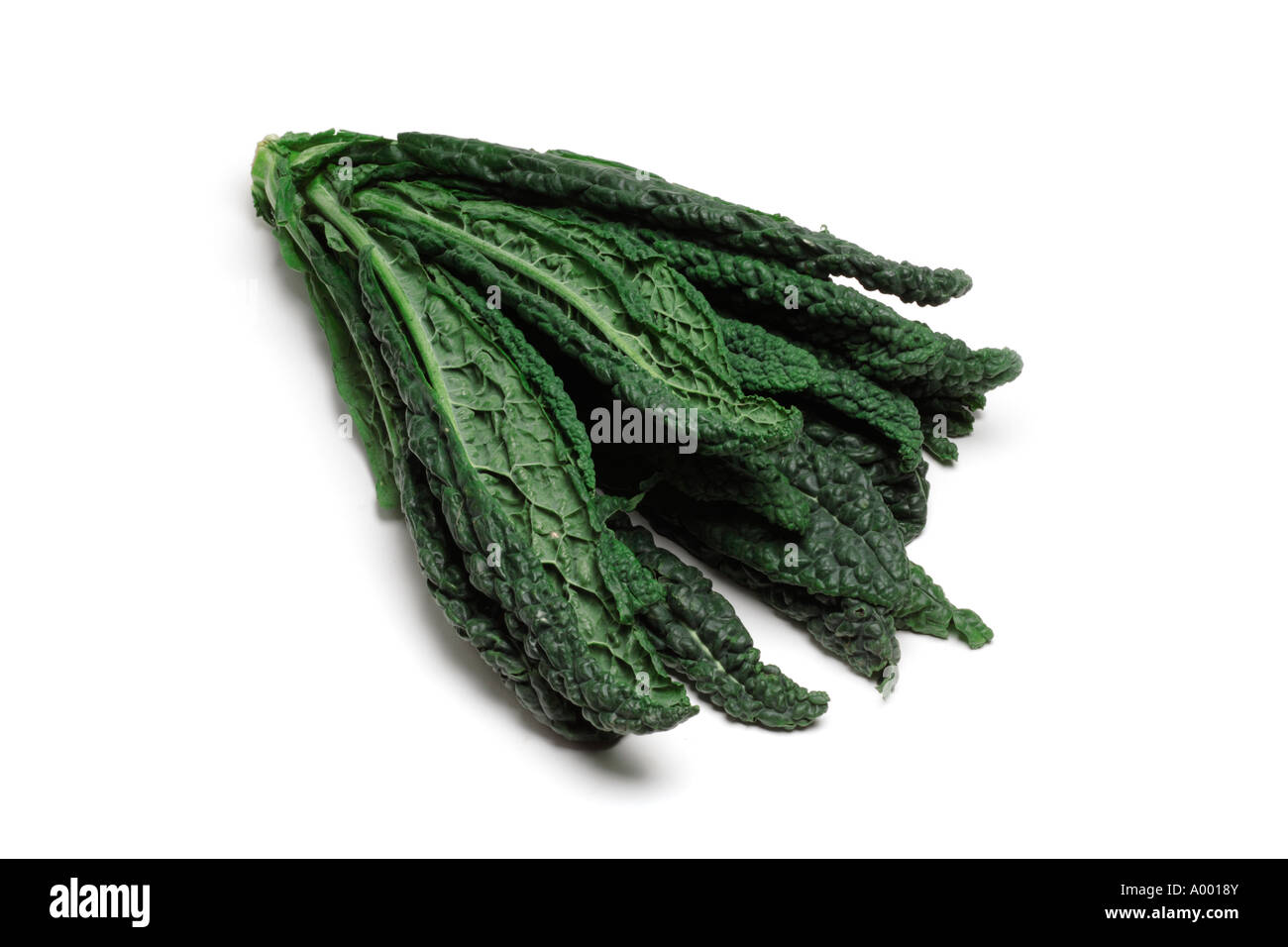 Cavolo Nero an Italian cabbage on white background Stock Photo - Alamy