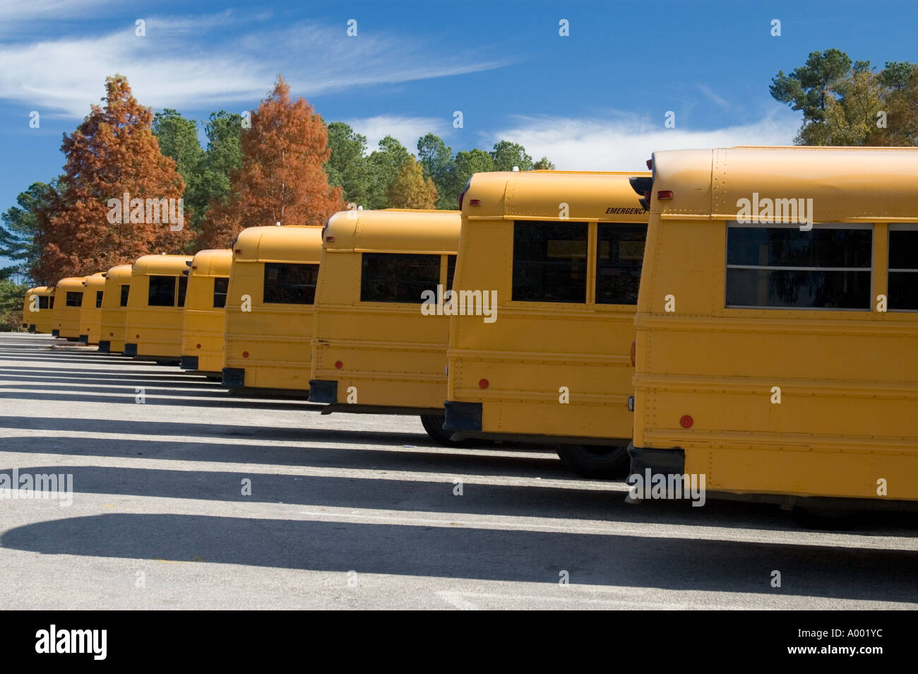Back view of yellow school buses parked in a row USA Stock Photo - Alamy