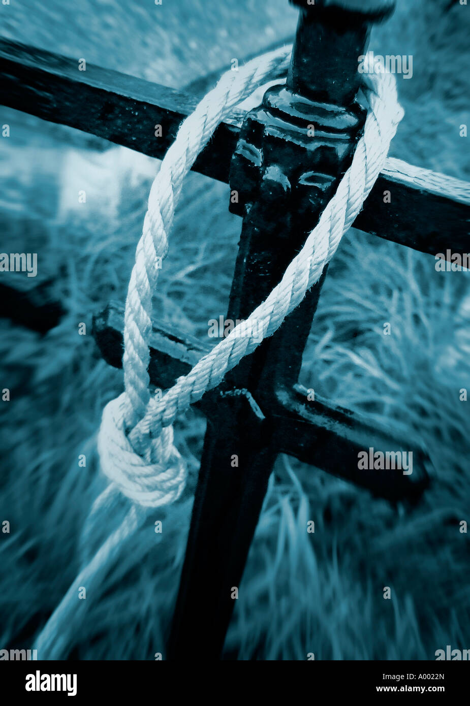 Tied to iron railings hi-res stock photography and images - Alamy