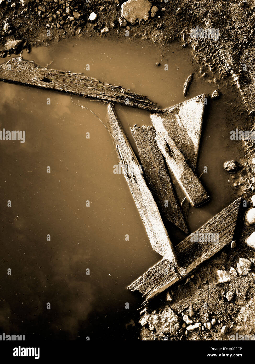 wood in puddle Stock Photo - Alamy