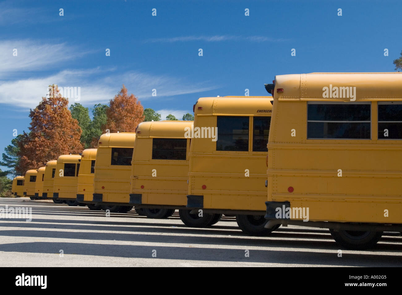 Yellow school buses parked in a row, USA Stock Photo - Alamy