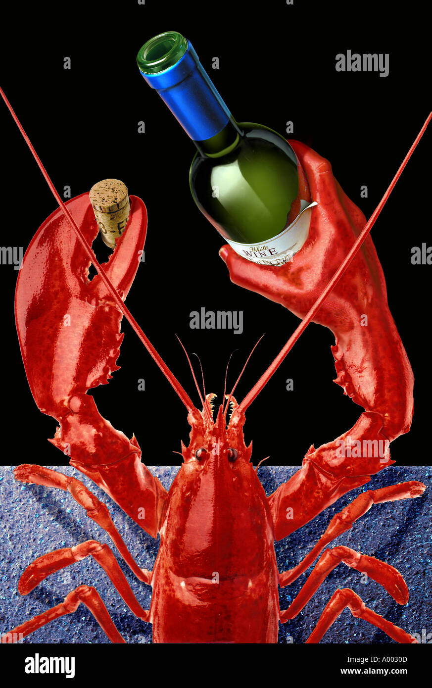 lobster holding a wine bottle in human hand Stock Photo - Alamy