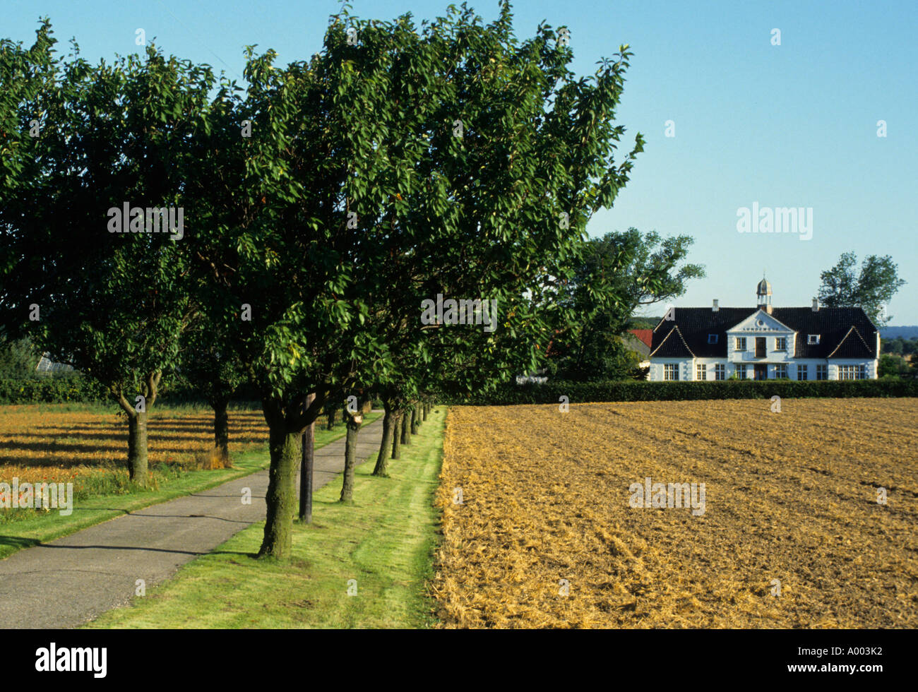 Saelland lolland farm denmark agriculture hi-res stock photography and ...