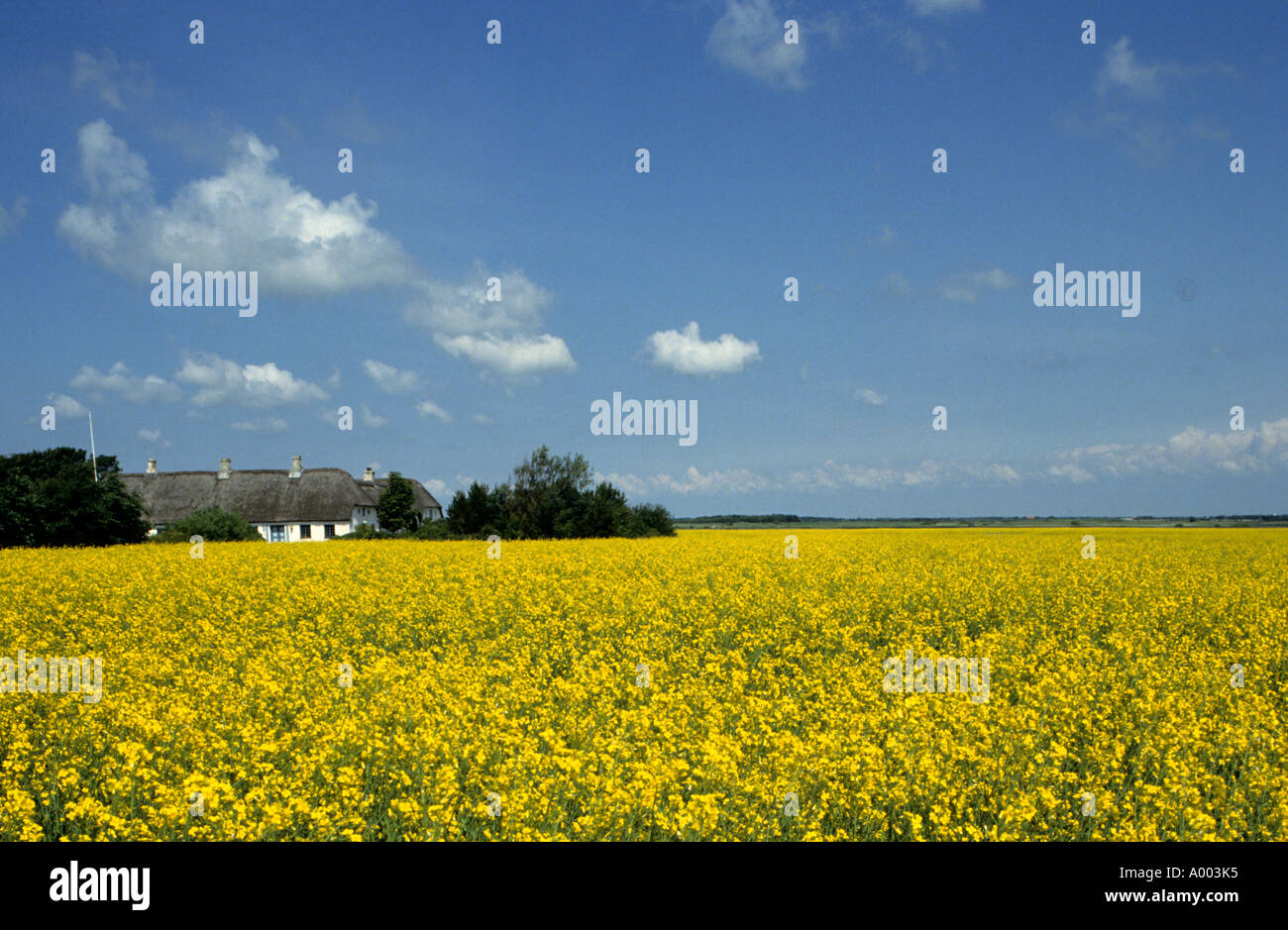 Saelland lolland farm denmark agriculture hi-res stock photography and ...