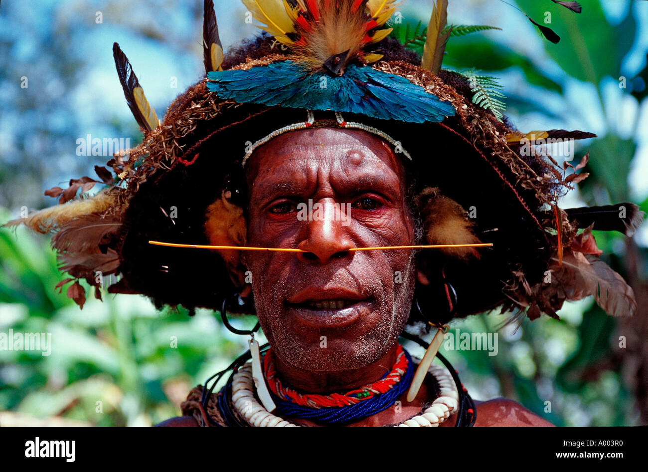 Hulis hi-res stock photography and images - Alamy