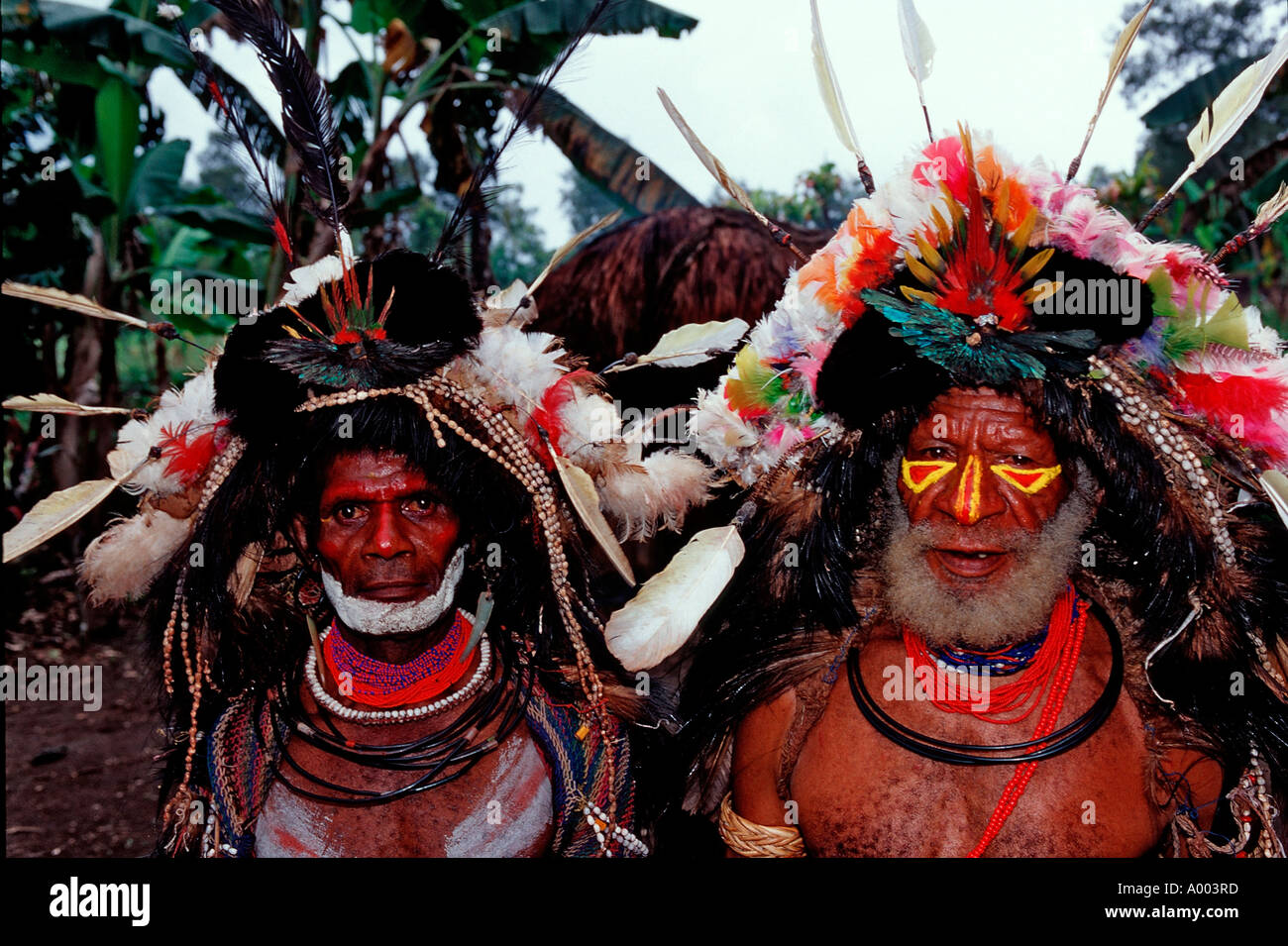 Huli wigman tari highlands papua hi-res stock photography and images ...