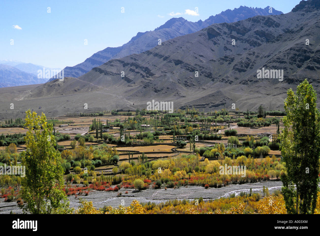 India Jammu Kashmir Ladakh scenery at Matho Stock Photo - Alamy