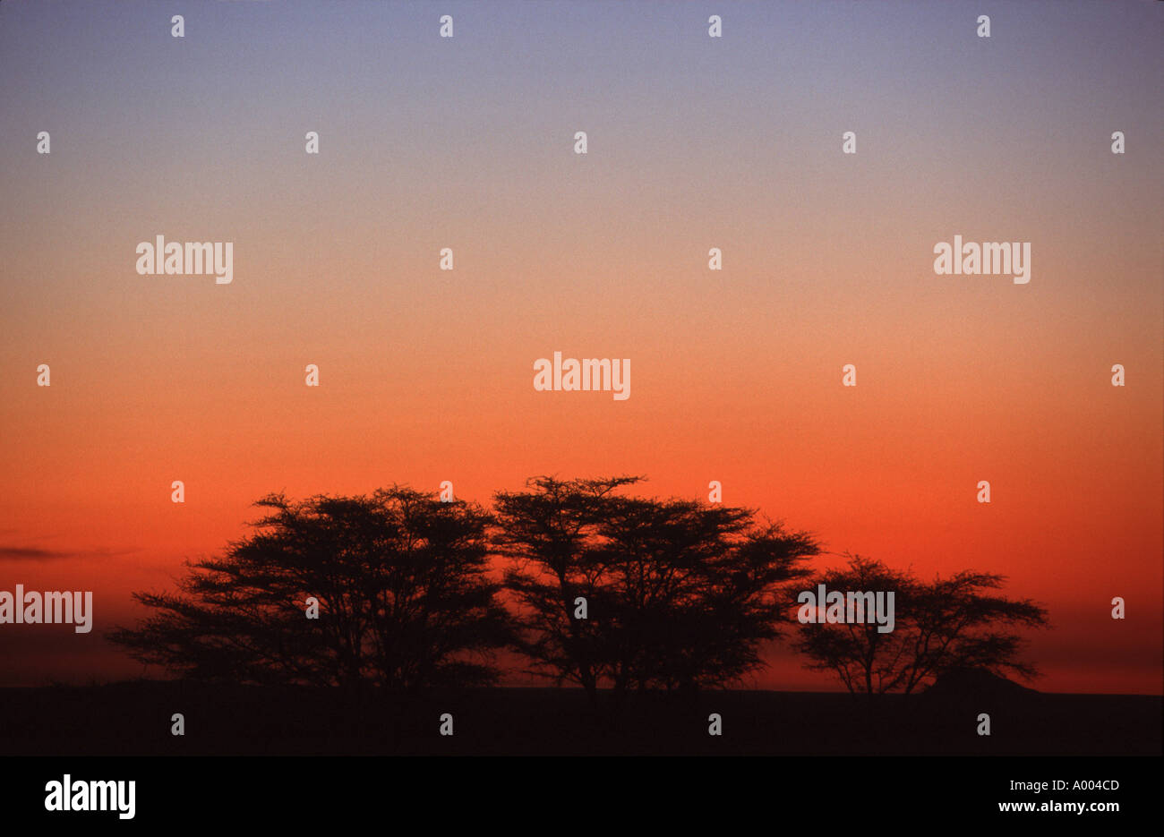 Silhouette Solitaire High Resolution Stock Photography and Images - Alamy