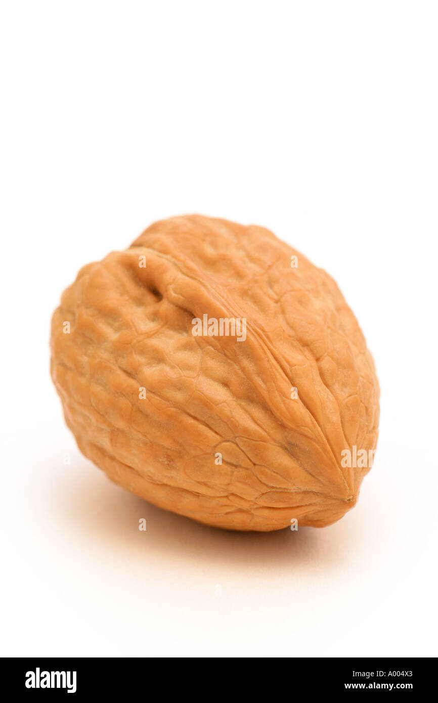 Enclosed capsule Cut Out Stock Images & Pictures - Alamy