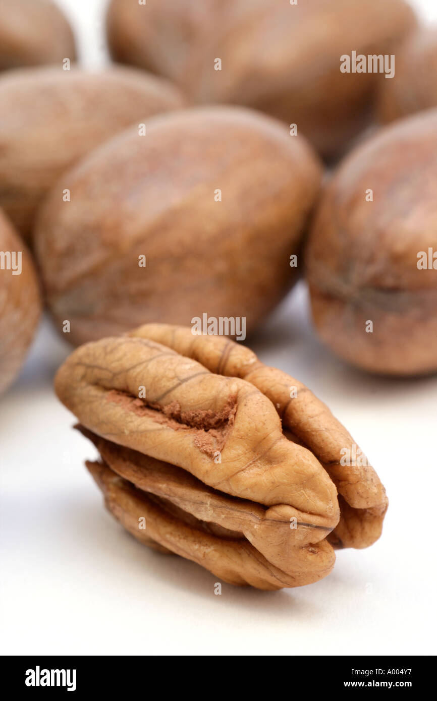 Raw pecans shell on hi-res stock photography and images - Alamy