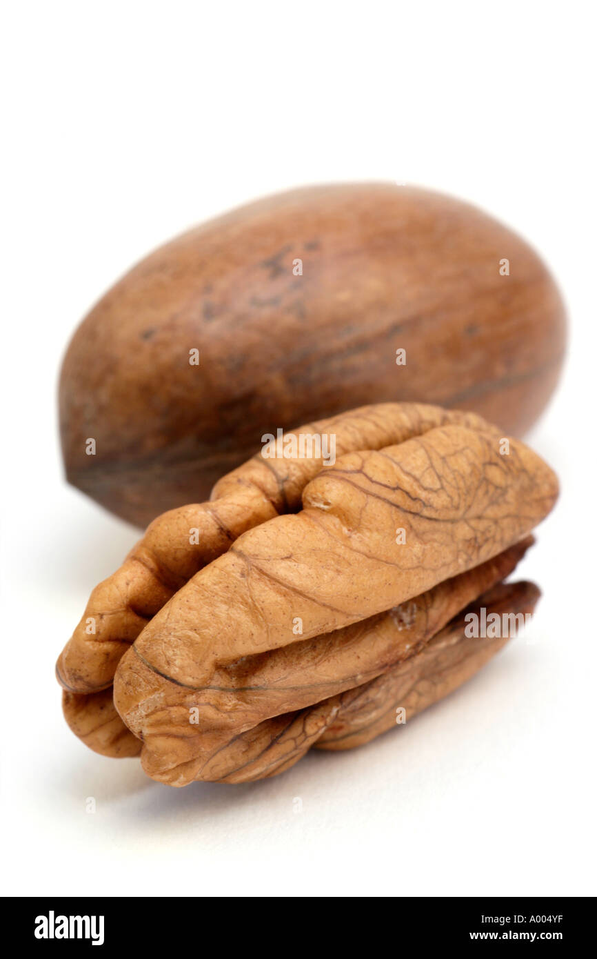 Pecans on White Background Stock Photo - Alamy