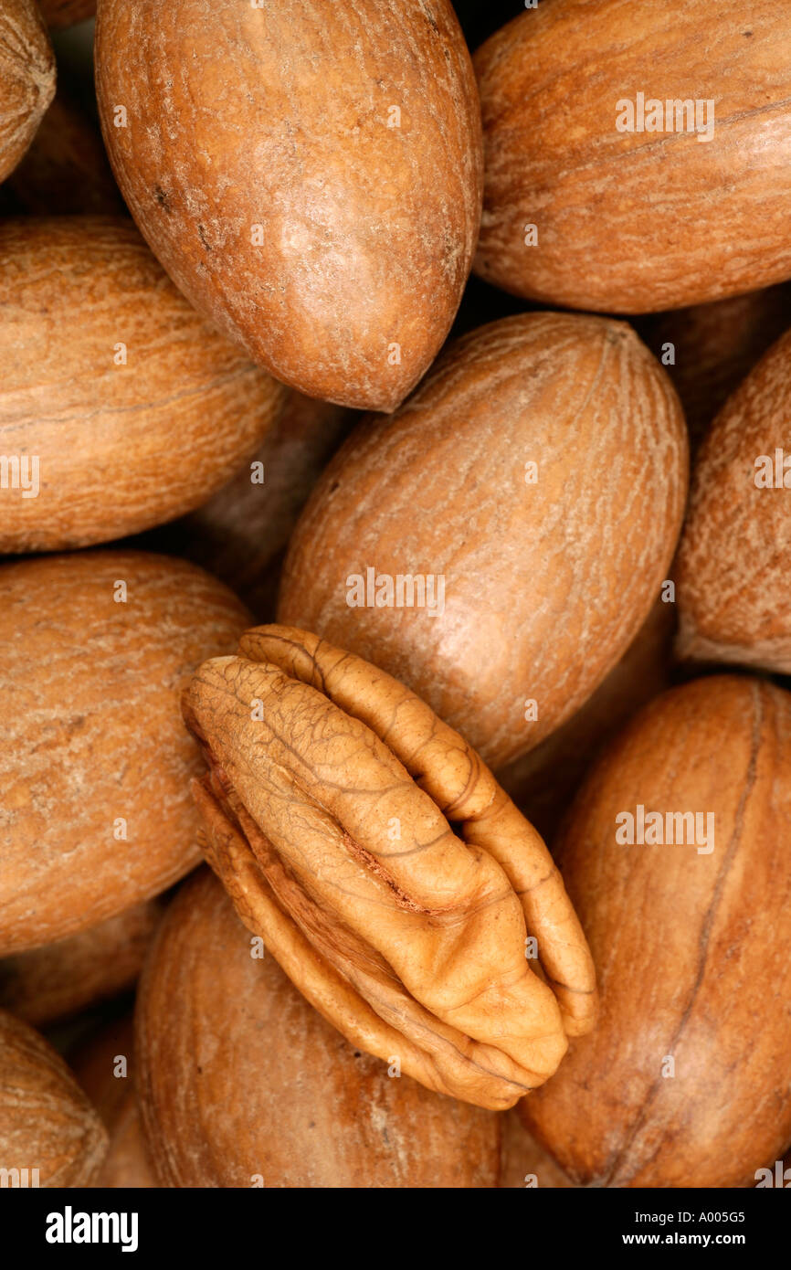 Shelled and unshelled pecans hi-res stock photography and images - Alamy
