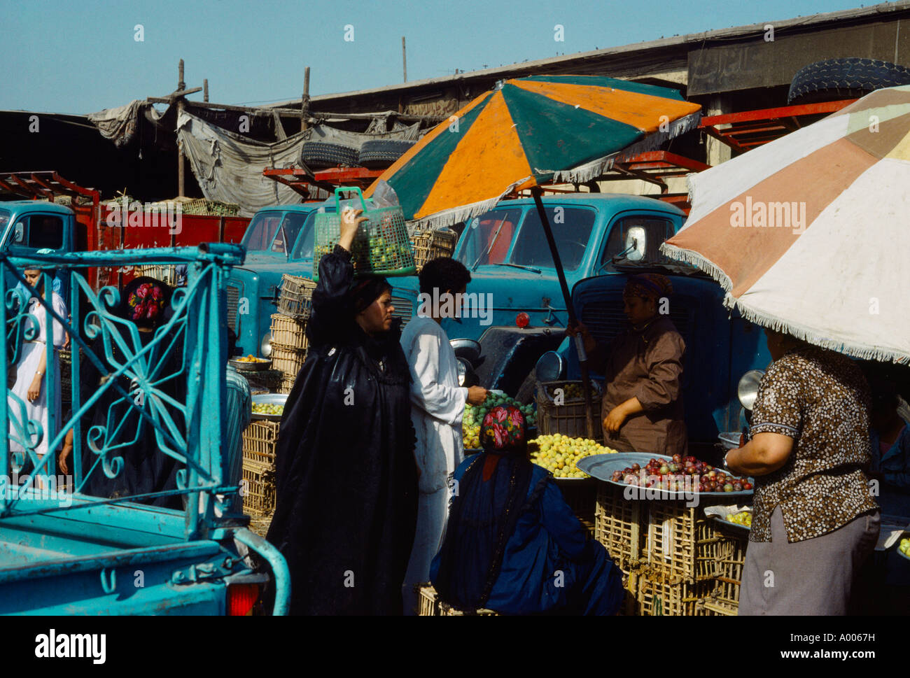 Egypt fruit hi-res stock photography and images - Alamy