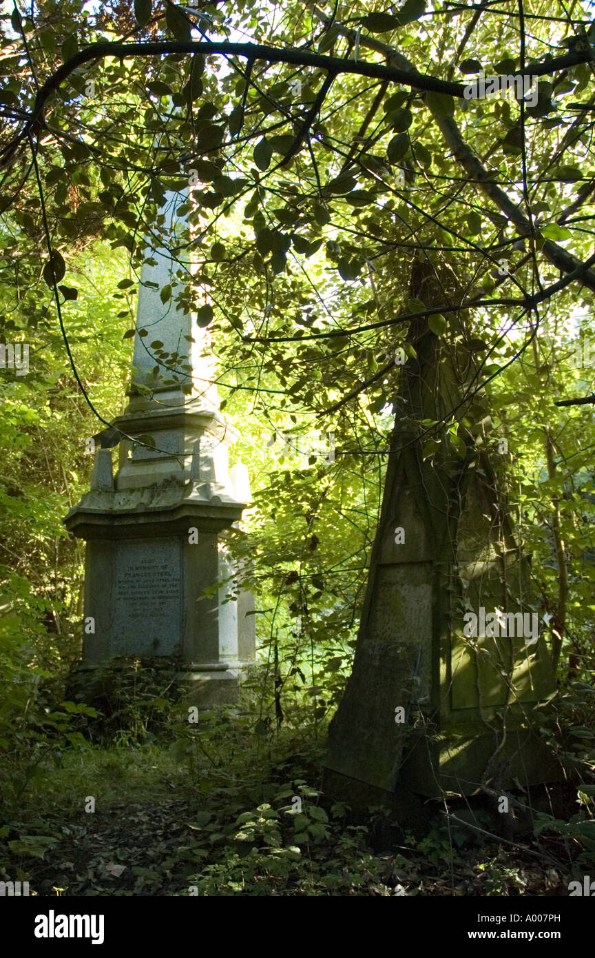 Overgrown gravestones hi-res stock photography and images - Alamy