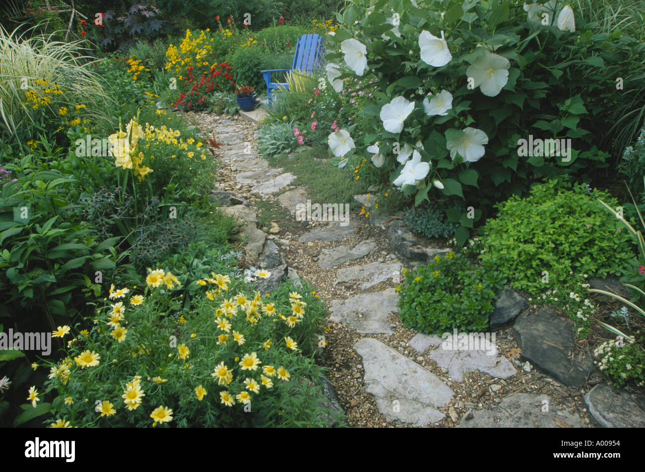 Private cottage garden path with blooming flowers and a blue painted ...