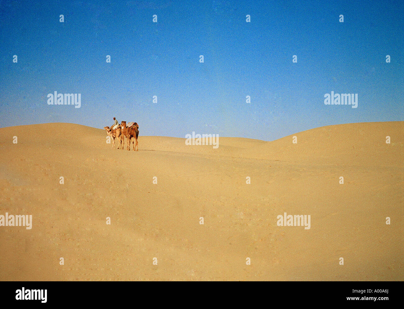 India train desert hi-res stock photography and images - Alamy