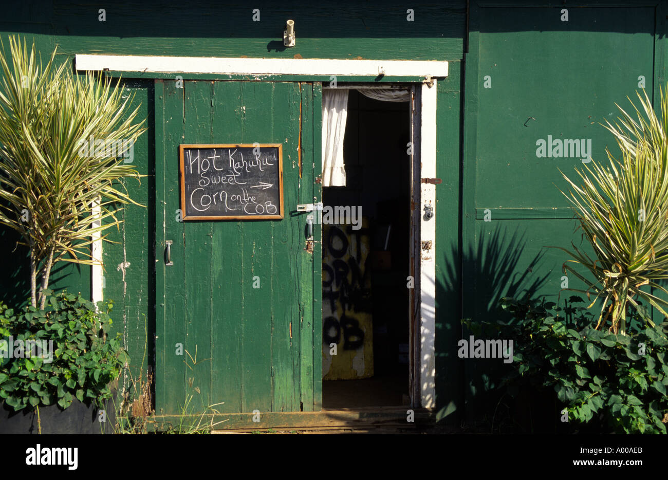 October 2000 Hawaii A green building in Hawaii Stock Photo - Alamy