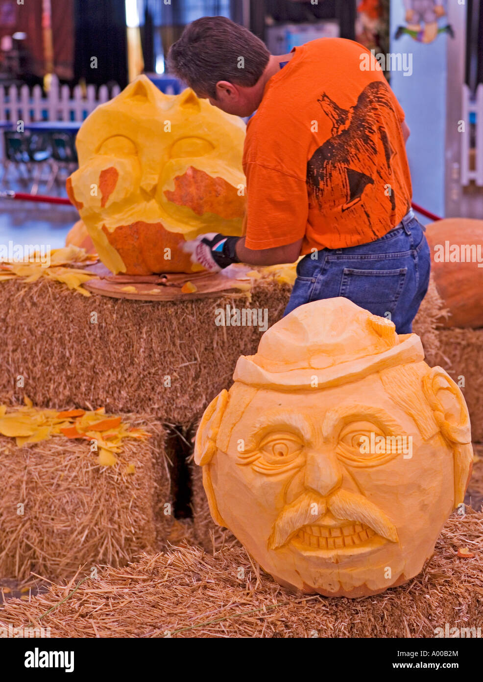 Image of a man carving a face in a giant pumpkin while a finished ...