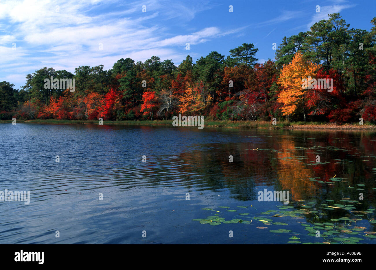 Long island lake united hi-res stock photography and images - Alamy