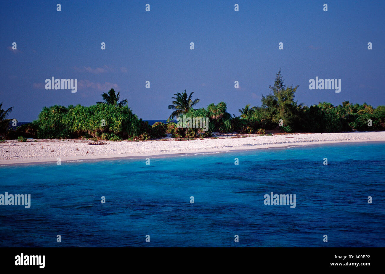 tourist maldives island Maldives Islands Indian ocean Ari Atol Atoll ...