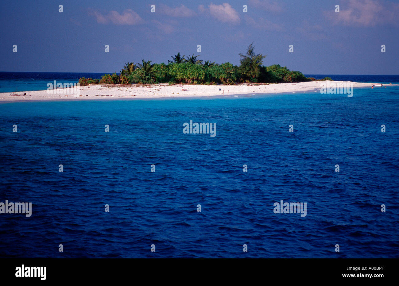 tourist maldives island Maldives Islands Indian ocean Ari Atol Atoll Stock Photo - Alamy