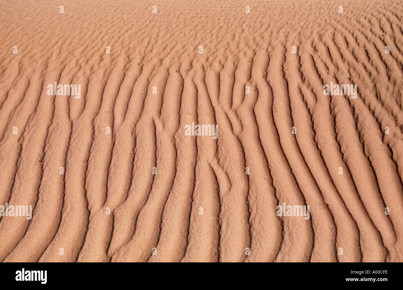 desert structure sand namib namibia Stock Photo - Alamy