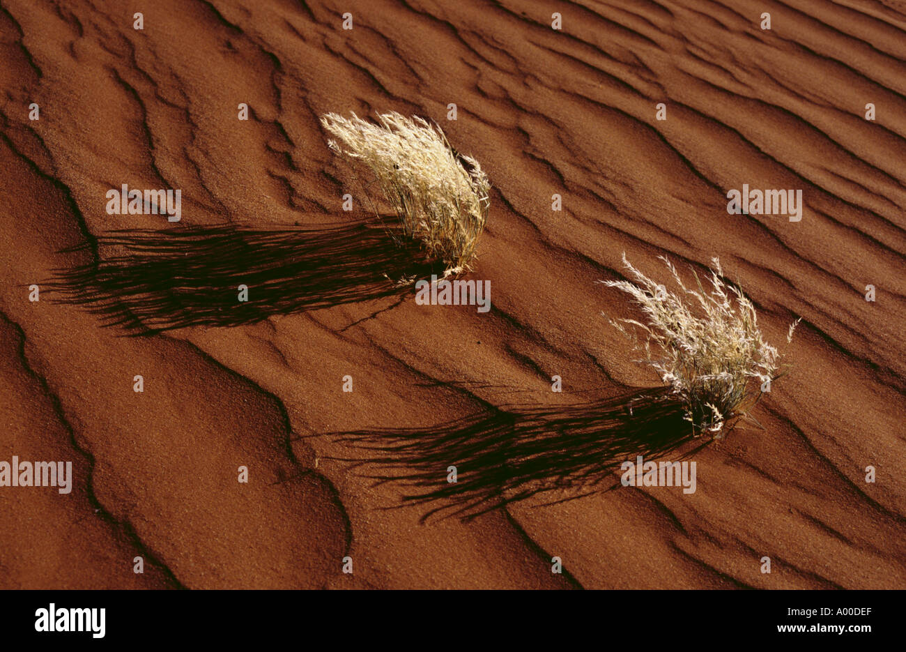 Sand structures desert Namib Namibia Stock Photo - Alamy