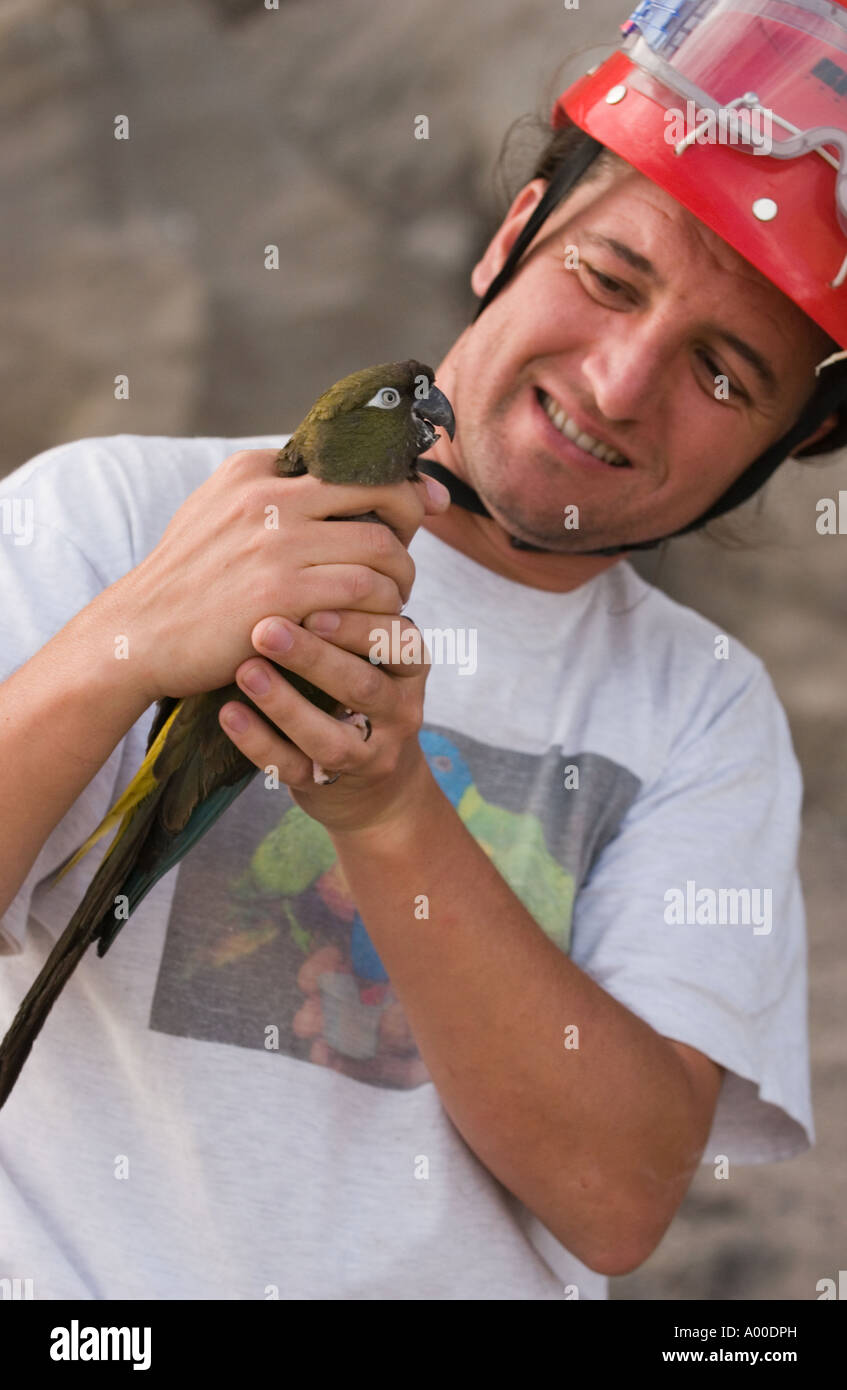 Masello hi-res stock photography and images - Alamy