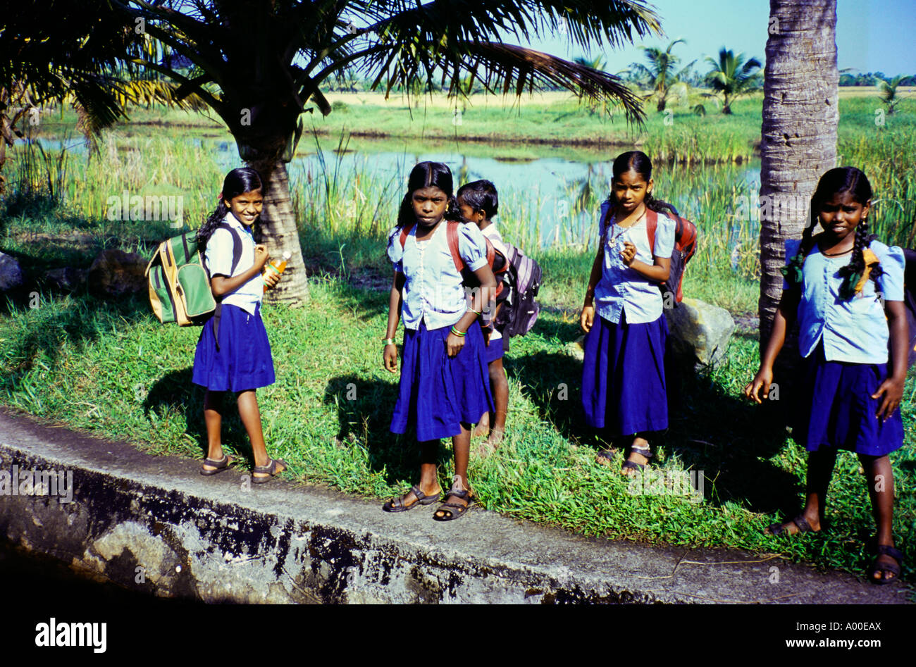 Kerala Backwaters India Schoolchildren on Way to School Stock Photo - Alamy