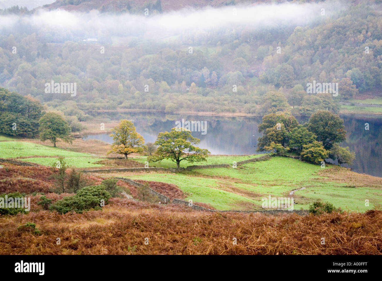 Rydal Water near Grasmere Cumbria England Stock Photo - Alamy