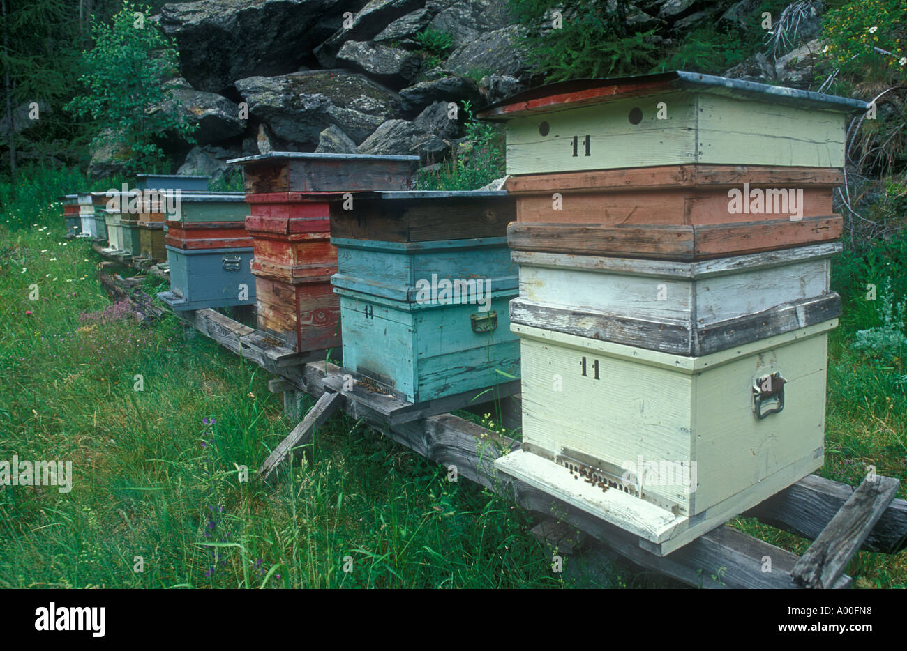 Bee hives Valgrisenche Valle d Aosta Italy Italia Stock Photo - Alamy