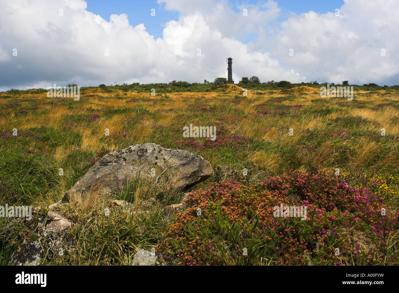 Heather and rocks at Kit Hill Country Park North Cornwall UK Stock ...