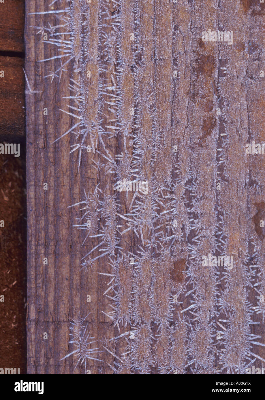Icey wood hi-res stock photography and images - Alamy
