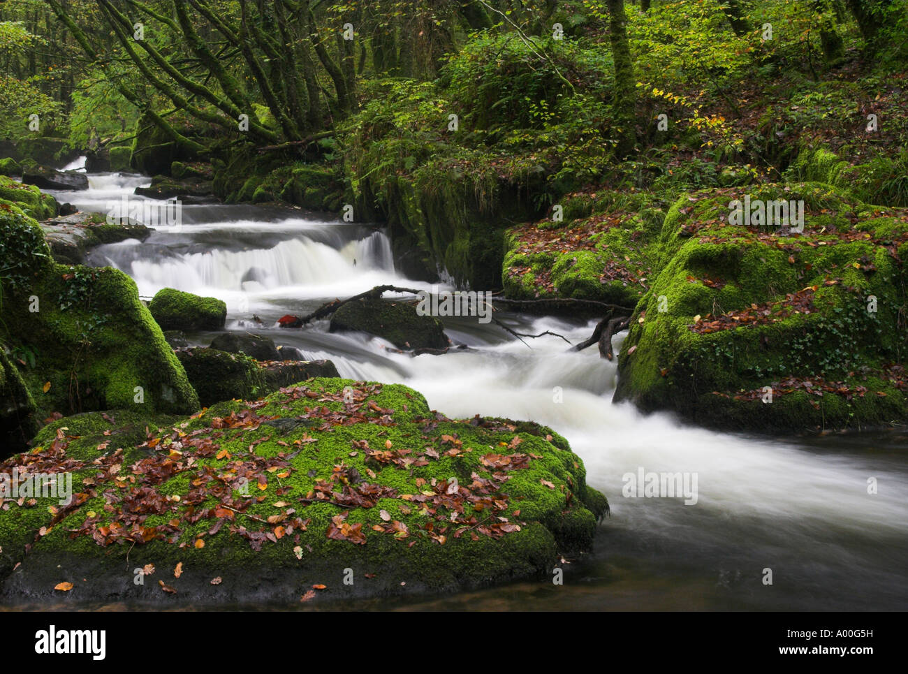 The River as it rushes over cascades at Golitha Falls nature reserve ...