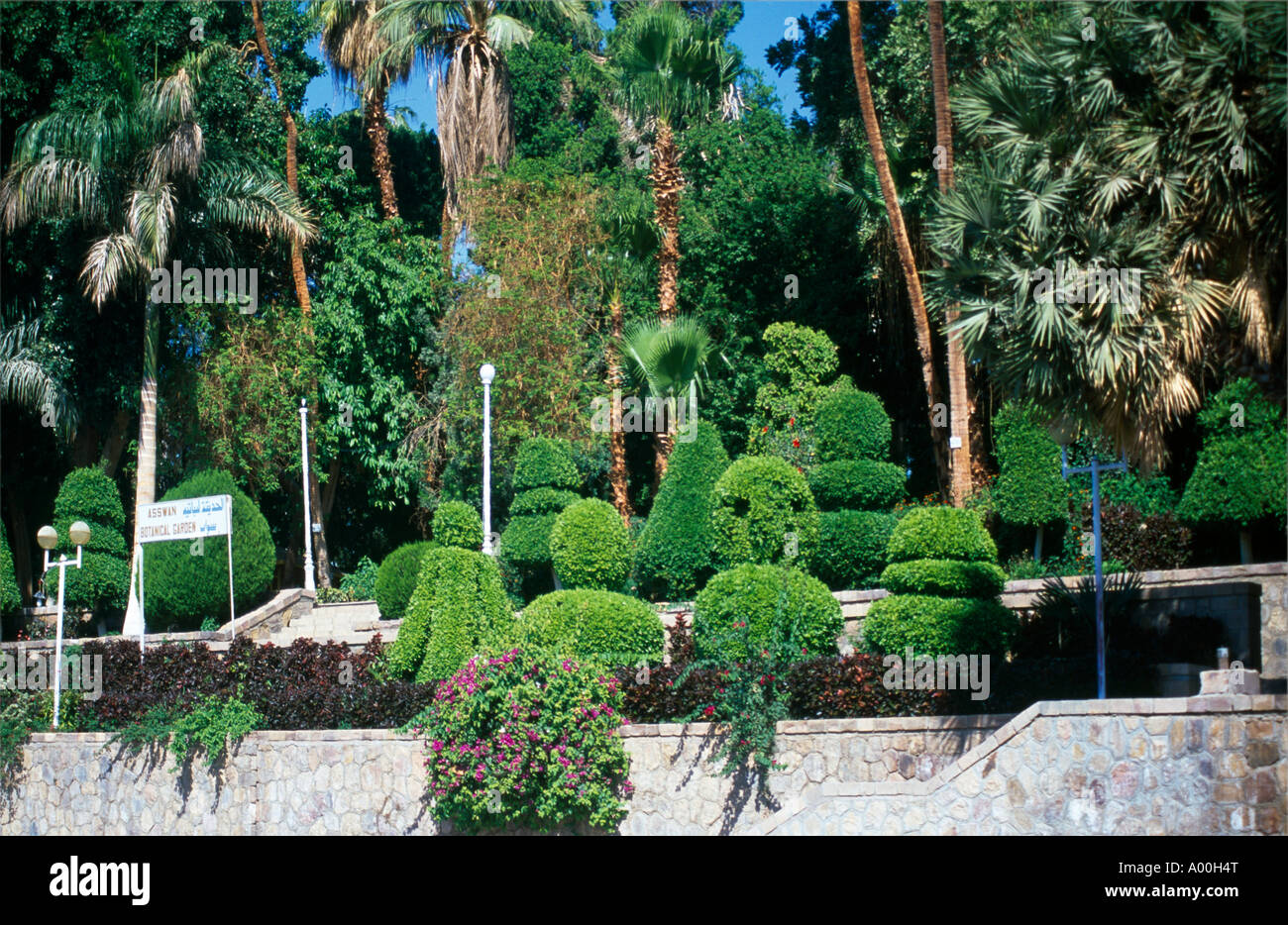 Aswan Botanical Garden High Resolution Stock Photography and Images - Alamy
